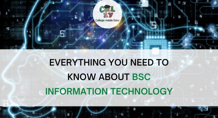 Everything you need to know about BSc Information Technology.